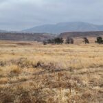 Guided Hiking Tours near Fort Collins - Why Choose This Guided Hiking Experience?