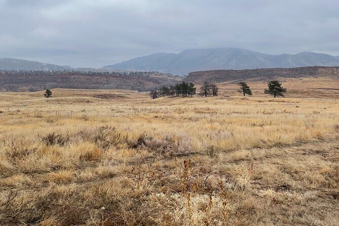 Guided Hiking Tours near Fort Collins - Why Choose This Guided Hiking Experience?