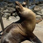 Guided Historic La Jolla Village Walking Tour - Who Will Love This Tour?