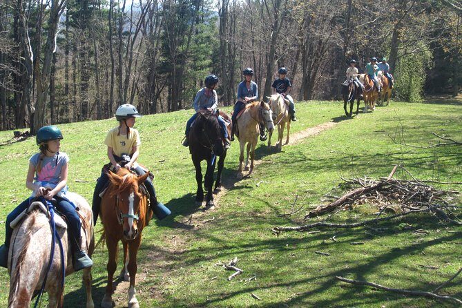 Guided Horseback Ride through Flame Azalea and Fern Forest - The Sum Up: Who Is This Tour Best For?