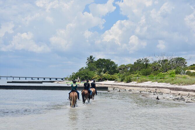 Guided Horseback Riding on The Pristine Waters of Miami Florida - The Sum Up