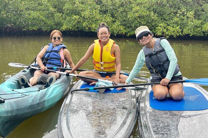 Guided Island EcoTour: CLEAR/Standard Kayak, SUP - Bonita Springs - What Makes This Tour Special?