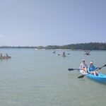 Guided Kayak EcoTour of Beautiful Shell Key Preserve - Why This Tour Won’t Disappoint