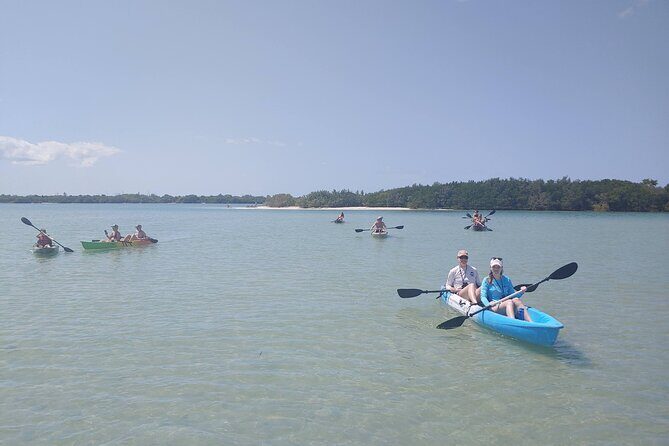 Guided Kayak EcoTour of Beautiful Shell Key Preserve - Why This Tour Won’t Disappoint