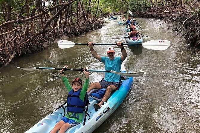 Guided Kayak Mangrove Ecotour in Rookery Bay Reserve, Naples - What You Can Expect from the Itinerary