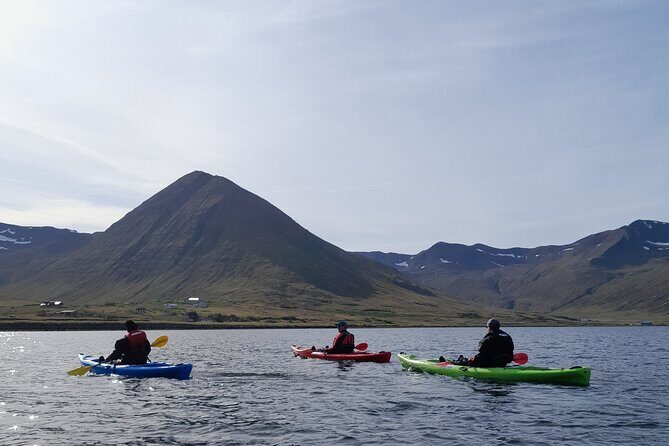 Guided kayak tour in Siglufjörður / Siglufjordur. - A Closer Look at the Experience