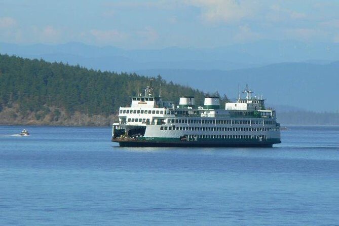 Guided Kayak Tour on San Juan Island - Exploring the Guided Kayak Tour on San Juan Island
