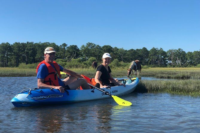 Guided Kayak Tour to see ponies, birds, dolphins and more - What the Reviews Say