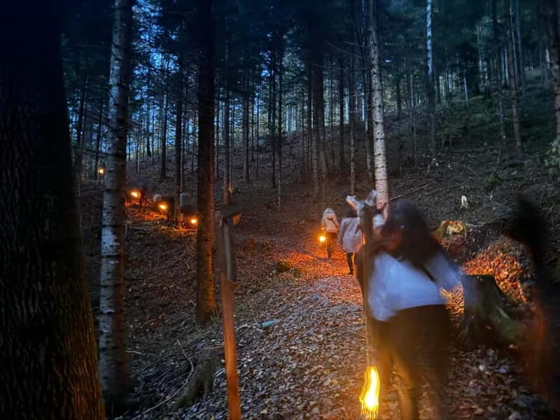 Guided llamawalk with a traditional, homemade cheesefondue - What to Expect During the Walk