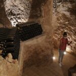 Guided Madrid Countryside Wine Tasting & Winery Tour - The Sum Up