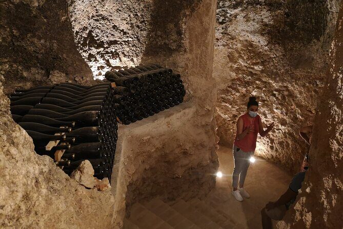 Guided Madrid Countryside Wine Tasting & Winery Tour - The Sum Up