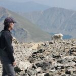 Guided Private Scenic Colorado Mountain Hiking - Half Day - The Trails and Scenic Highlights