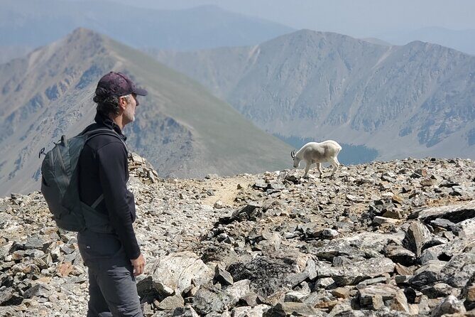 Guided Private Scenic Colorado Mountain Hiking - Half Day - The Trails and Scenic Highlights