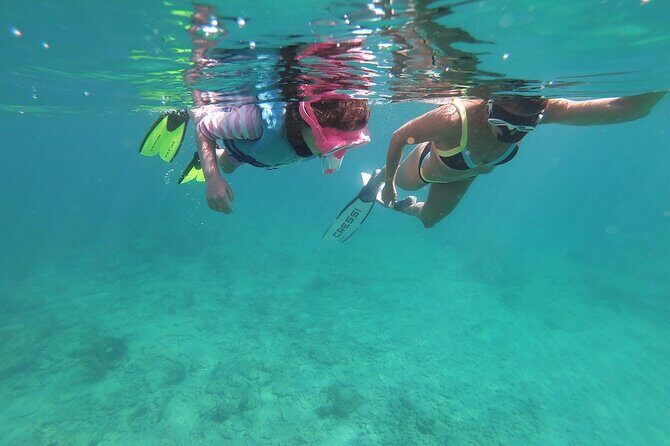 Guided Reef Snorkeling Tour in Pompano Beach - Cancellation & Flexibility