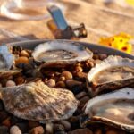Guided Rooftop Oyster Tasting with an Oyster Sommelier - The Setting and Atmosphere