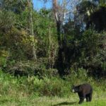 Guided Safari-Style Jeep Tour - The Value of an Expert-Led Adventure