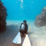 Guided Shore Dive or Refresher Dive - Why This Tour Offers Good Value