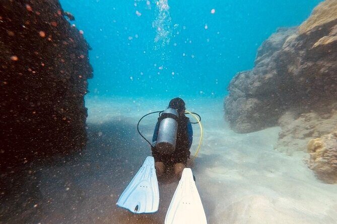 Guided Shore Dive or Refresher Dive - Why This Tour Offers Good Value