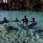 Guided Small Group Manatee Snorkeling Tour with In-Water Photographer - Itinerary & Experience Breakdown