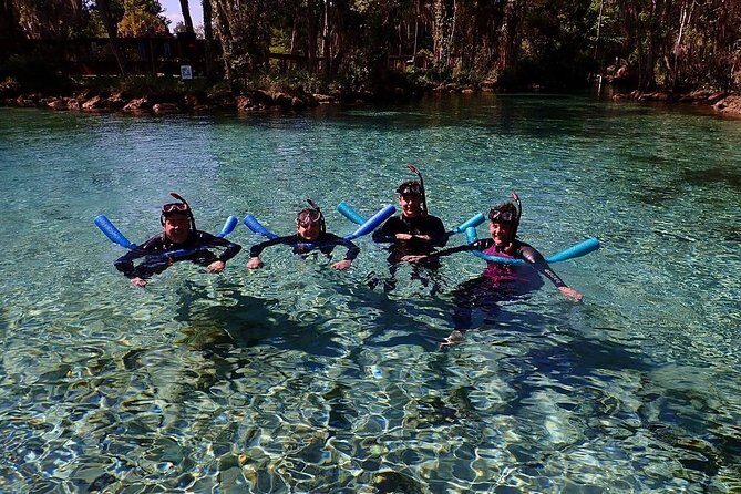 Guided Small Group Manatee Snorkeling Tour with In-Water Photographer - Itinerary & Experience Breakdown
