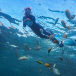 Guided Snorkel Experience - The Sum Up
