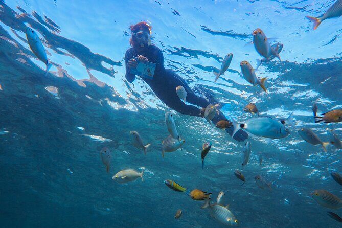 Guided Snorkel Experience - The Sum Up