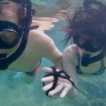 Guided Snorkel Tour for Beginners in Honolulu - Who Will Love This Tour