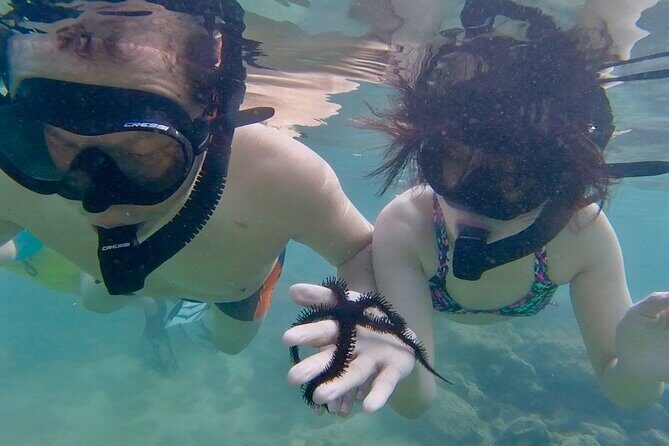 Guided Snorkel Tour for Beginners in Honolulu - Who Will Love This Tour