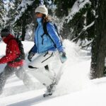 Guided Snowshoe Tour in Bend, Oregon - The Itinerary: What to Expect