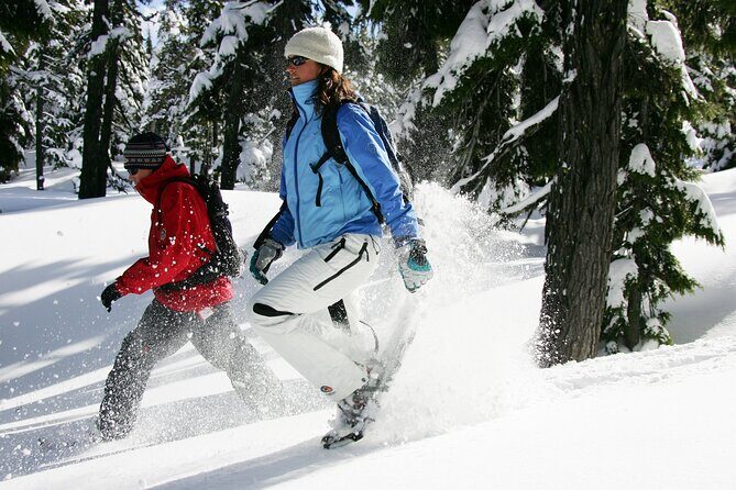 Guided Snowshoe Tour in Bend, Oregon - The Itinerary: What to Expect