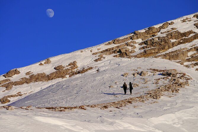 Guided Snowshoeing Day to Discover the Dolomites - Why This Tour is Worth Considering