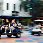 Guided St. Pete Sightseeing Tour in Deluxe Street Legal Golf Cart - Who Would Enjoy This Tour?