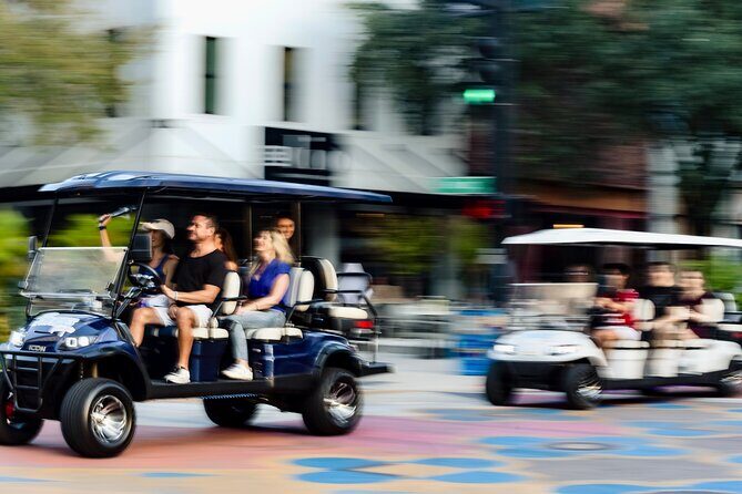 Guided St. Pete Sightseeing Tour in Deluxe Street Legal Golf Cart - Who Would Enjoy This Tour?
