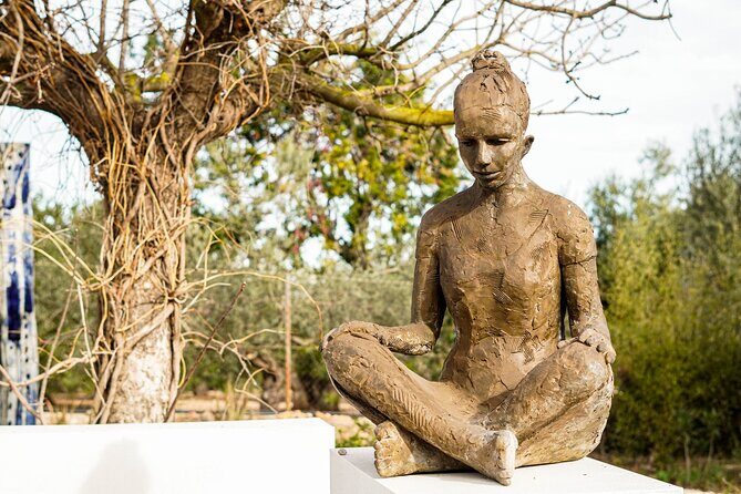 Guided tour Museum of Contemporary Art and Sculpture Park - Pricing and Value