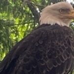 Guided Tour of Ketchikans Top Attractions - Relaxing at Rotary Beach