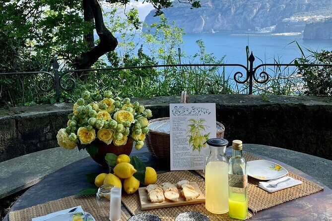 Guided tour of the history and tradition of the Sorrento lemon - How Is the Experience Valued?