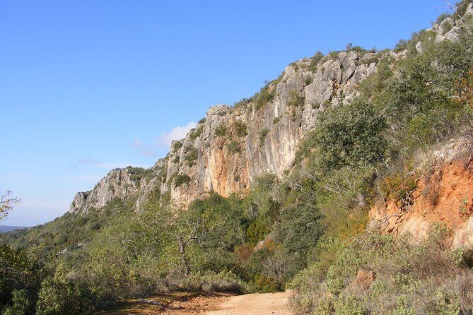 Guided Tour to the Geological Monument of Rocha da Pena - What’s Included and What to Expect