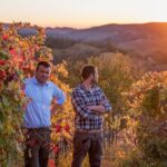 Guided tour with wine tasting - The Vineyard Walk: A Window into Organic Agriculture