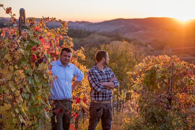 Guided tour with wine tasting - The Vineyard Walk: A Window into Organic Agriculture
