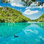 Guided transfer from Split to Zagreb with Plitvice Lakes stop - The Full Experience: What to Expect