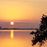 Guided Two Hour Boat Tour of the Indian River Lagoon - The Cost and Its Value