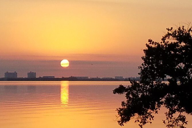 Guided Two Hour Boat Tour of the Indian River Lagoon - The Cost and Its Value