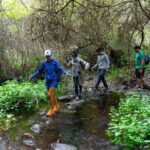 Guided Walking Route to Caldera de Taburiente - Practical Tips for Future Travelers