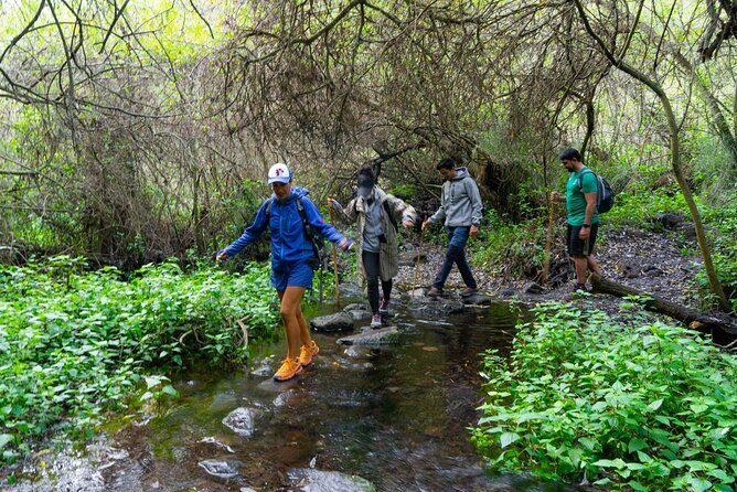 Guided Walking Route to Caldera de Taburiente - Practical Tips for Future Travelers