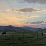 Guided Walking Tour of Methow Meadows and Meet the Animals - Final Thoughts: Is It Worth It?