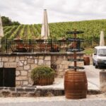 Guided wine tasting at Rókusfalvy Estate - The tasting itself