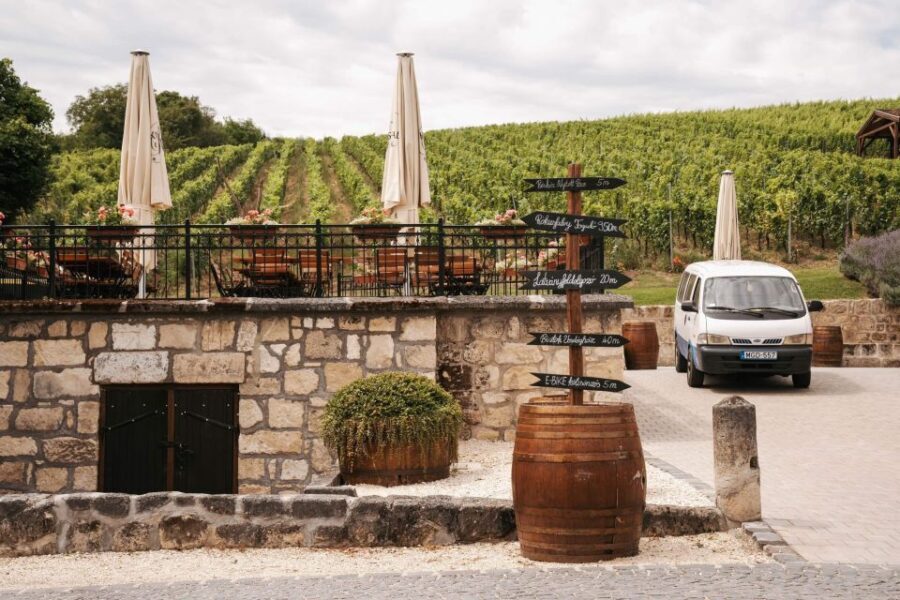 Guided wine tasting at Rókusfalvy Estate - The tasting itself