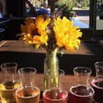 Guided Wine Tasting in Sebastopol with Local Sommelière - Visiting Two Top Tasting Rooms
