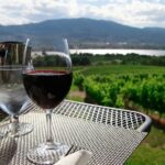 Guided Wine Tour through the Niagara Wine Trail - The Audience: Who Will Love This Tour?