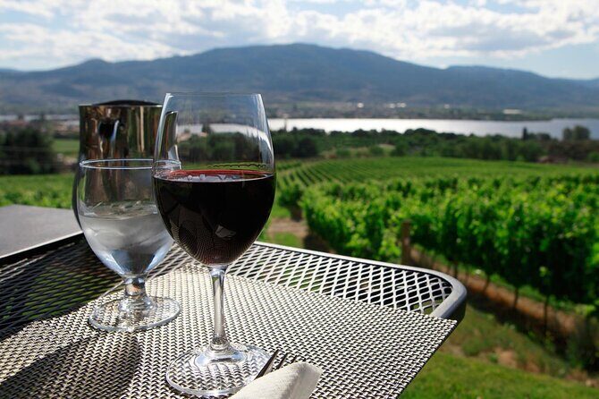 Guided Wine Tour through the Niagara Wine Trail - The Audience: Who Will Love This Tour?